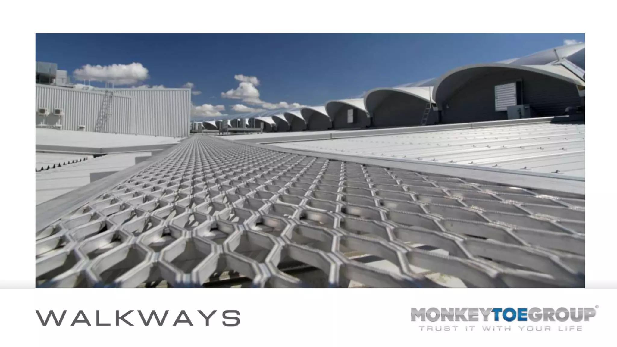 Monkey Toe Sales Presentation | PPTX