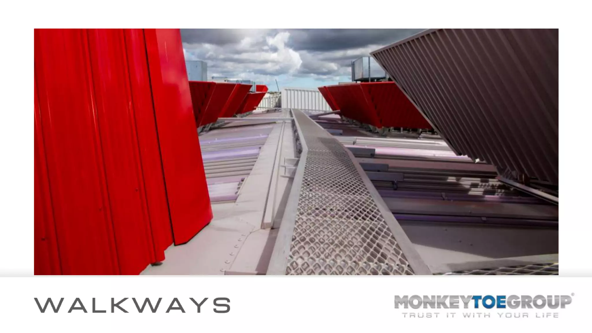 Monkey Toe Sales Presentation | PPTX