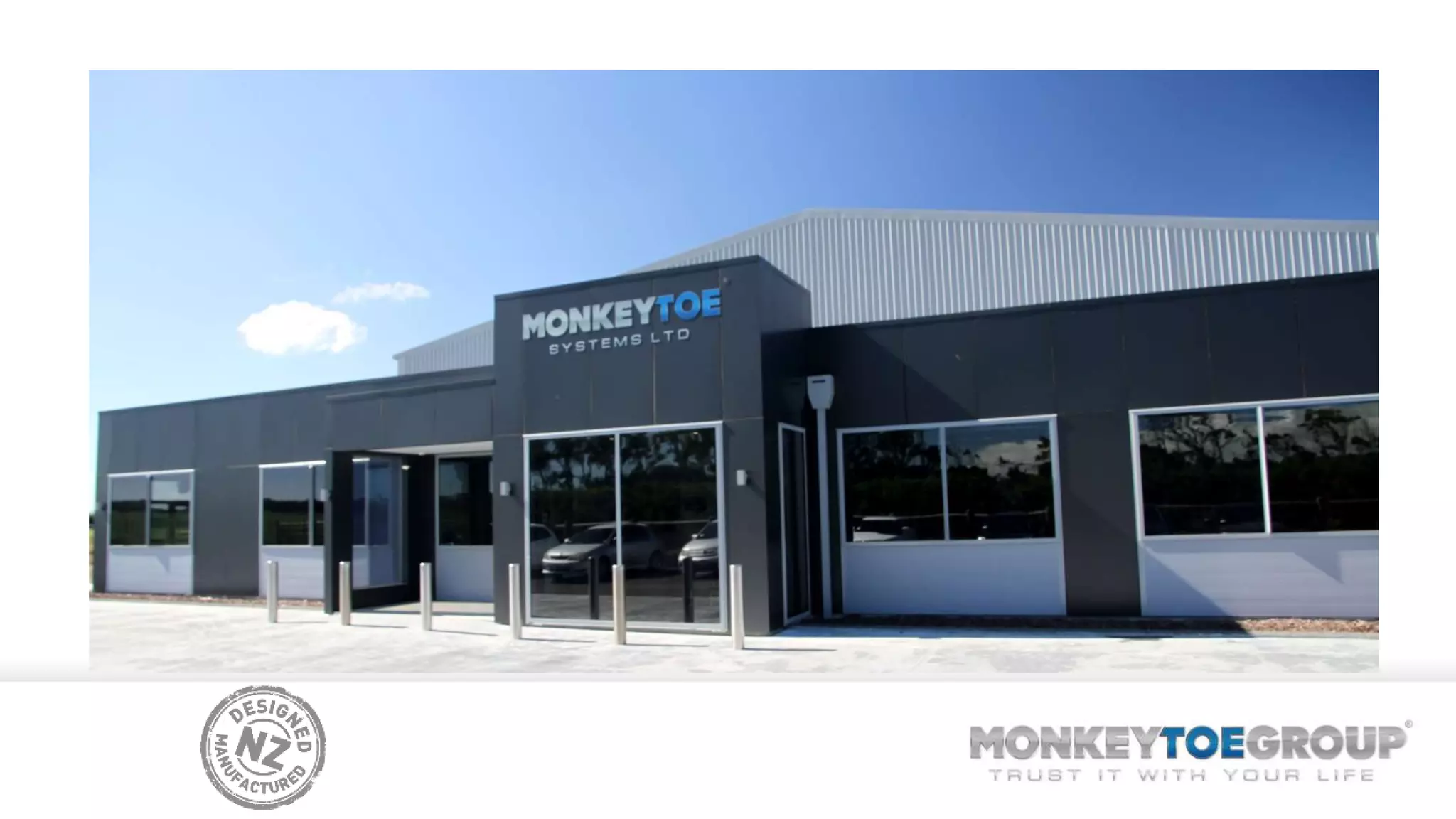 Monkey Toe Sales Presentation | PPTX