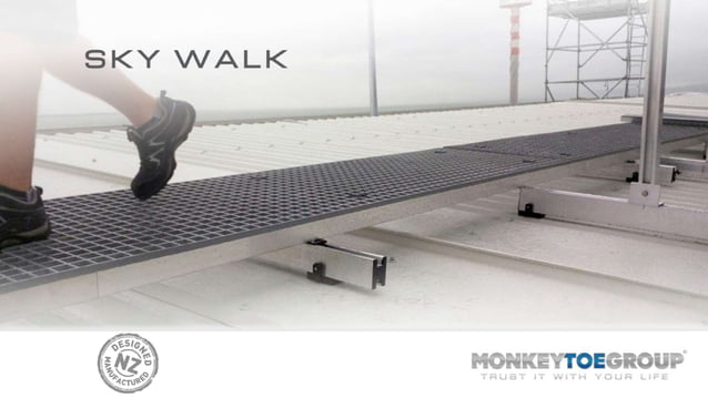 Monkey Toe Sales Presentation | PPTX