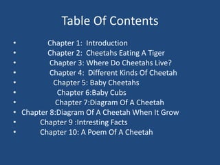 Cheetahs | PPT