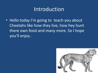 Cheetahs | PPTX