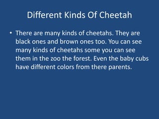 Cheetahs | PPTX
