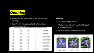 ML - Iris ModelML - Iris ModelML - Iris ModelML - Iris Model | PPT
