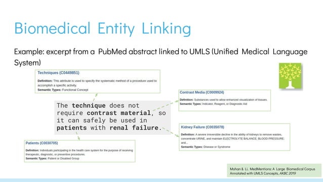 Biomedical Entity Linking Introduction Approaches Challenges Ppt