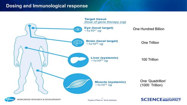 Day 2: Mark Lundie, Pfizer Canada, Slides (Nov 19) Access to Innovation ...