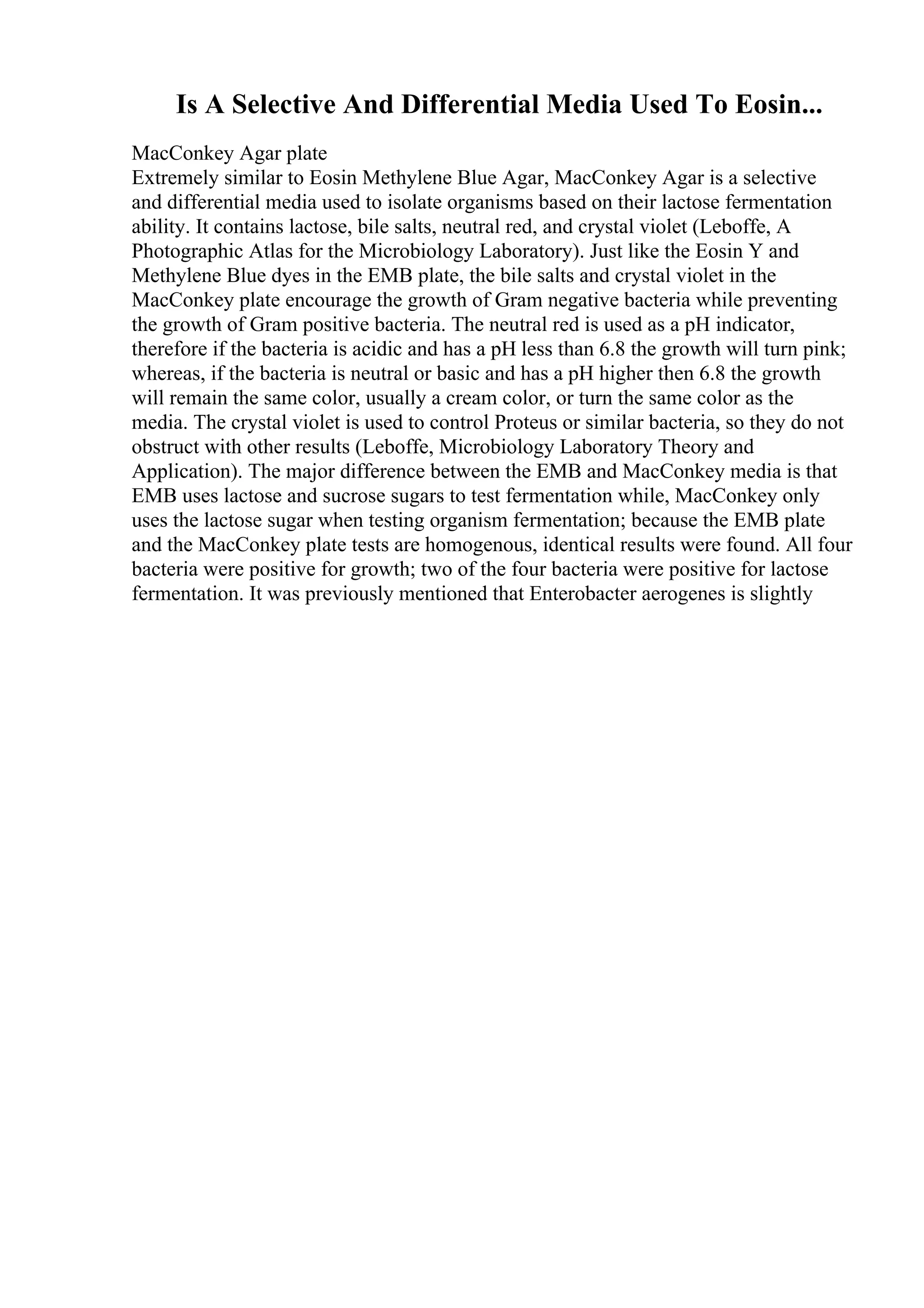 Mla Format For An Essay | PDF