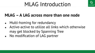 Mlag invisibile layer 2 redundancy | PDF