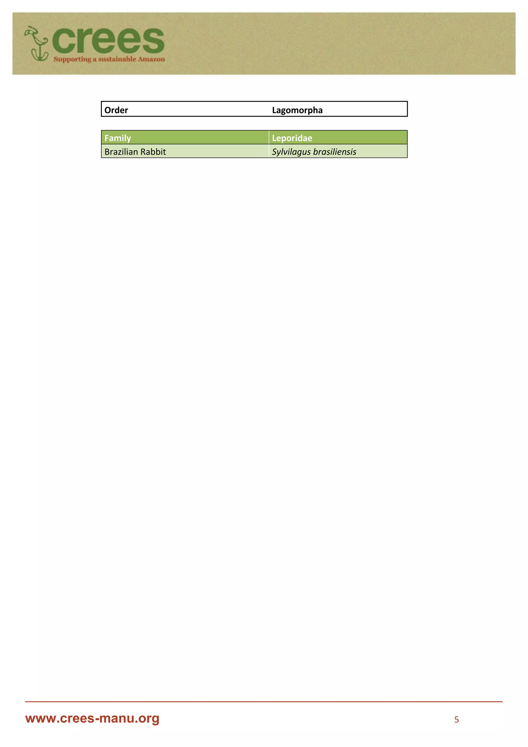 Manu Learning Centre - Mammal species list 2014 | PDF