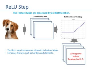 Machine Learning - Introduction to Convolutional Neural Networks | PPT