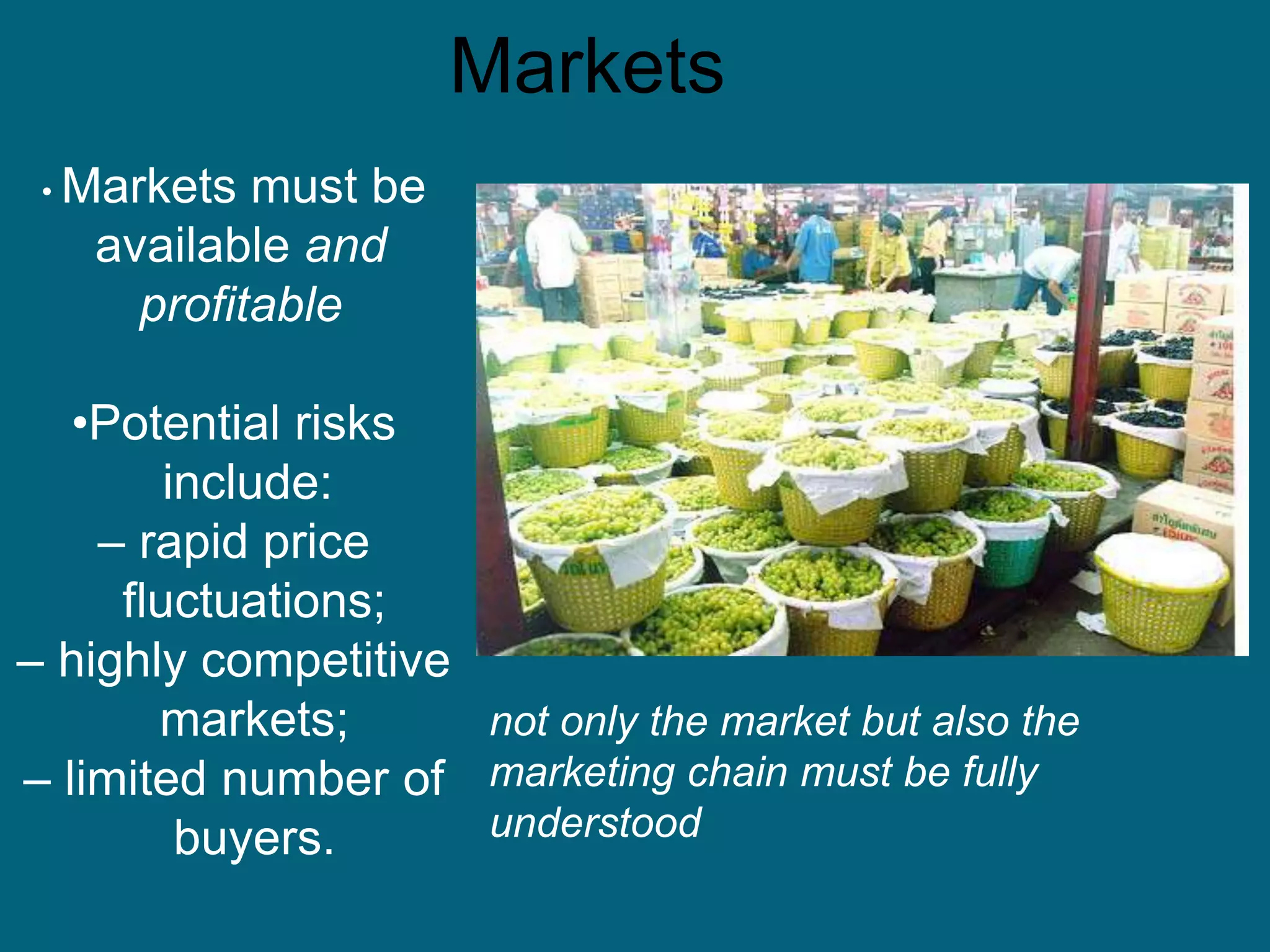 Market-Led Extension | PPTX