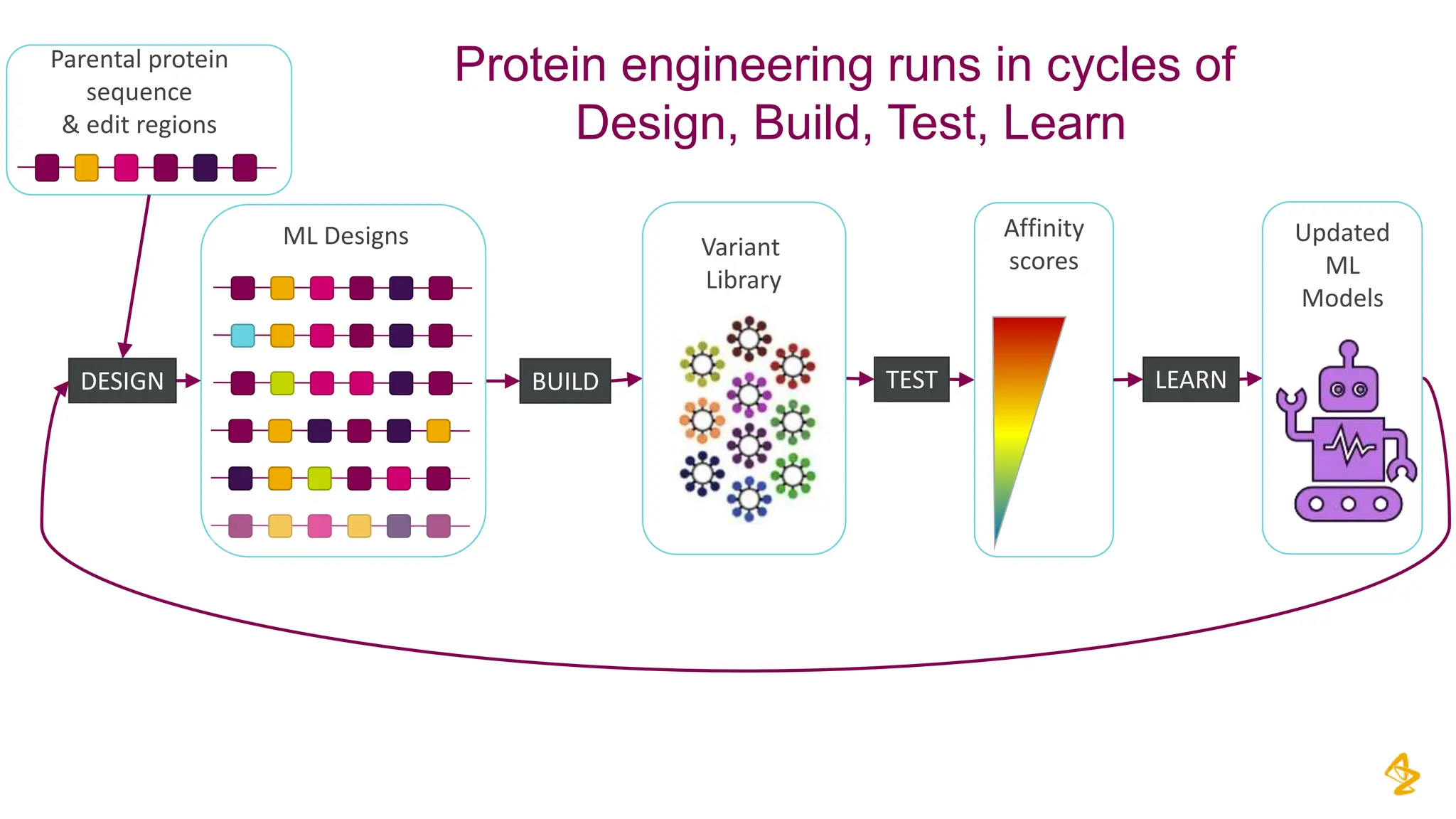 Machine Learning for Protein Design: Antibodies and Biologics | PPT