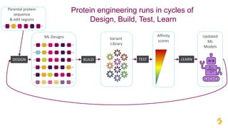 Machine Learning for Protein Design: Antibodies and Biologics | PPTX