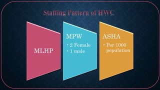 MLHP (Mid level health provider) | PPTX