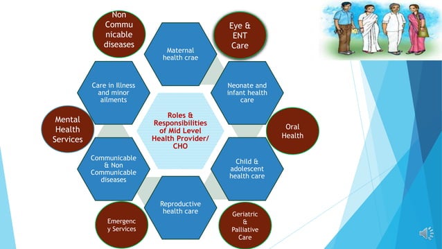 MLHP Roles and Responsibilities | PPTX | Diseases and Conditions | Medical Health