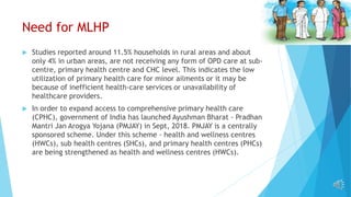 MLHP Roles and Responsibilities | PPTX