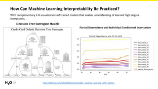 Machine Learning Interpretability - Mateusz Dymczyk - H2O AI World London 2018 | PPT
