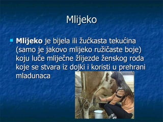 Mlijecni proizvodi - Mario Palić | PPT