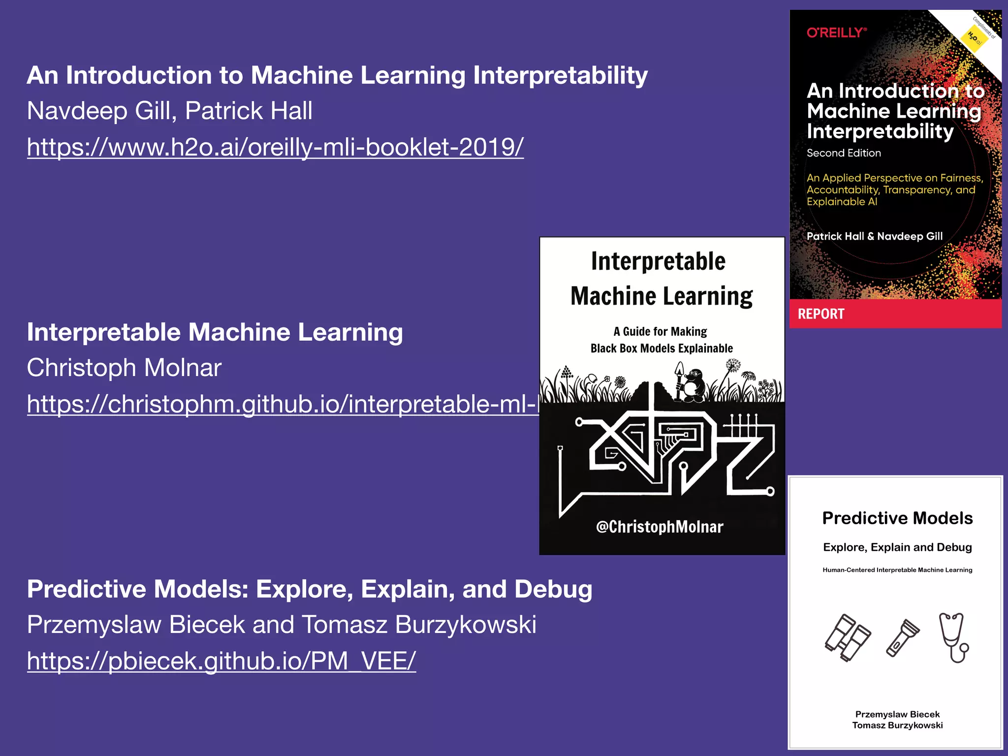 Human-Centered Interpretable Machine Learning | PPT