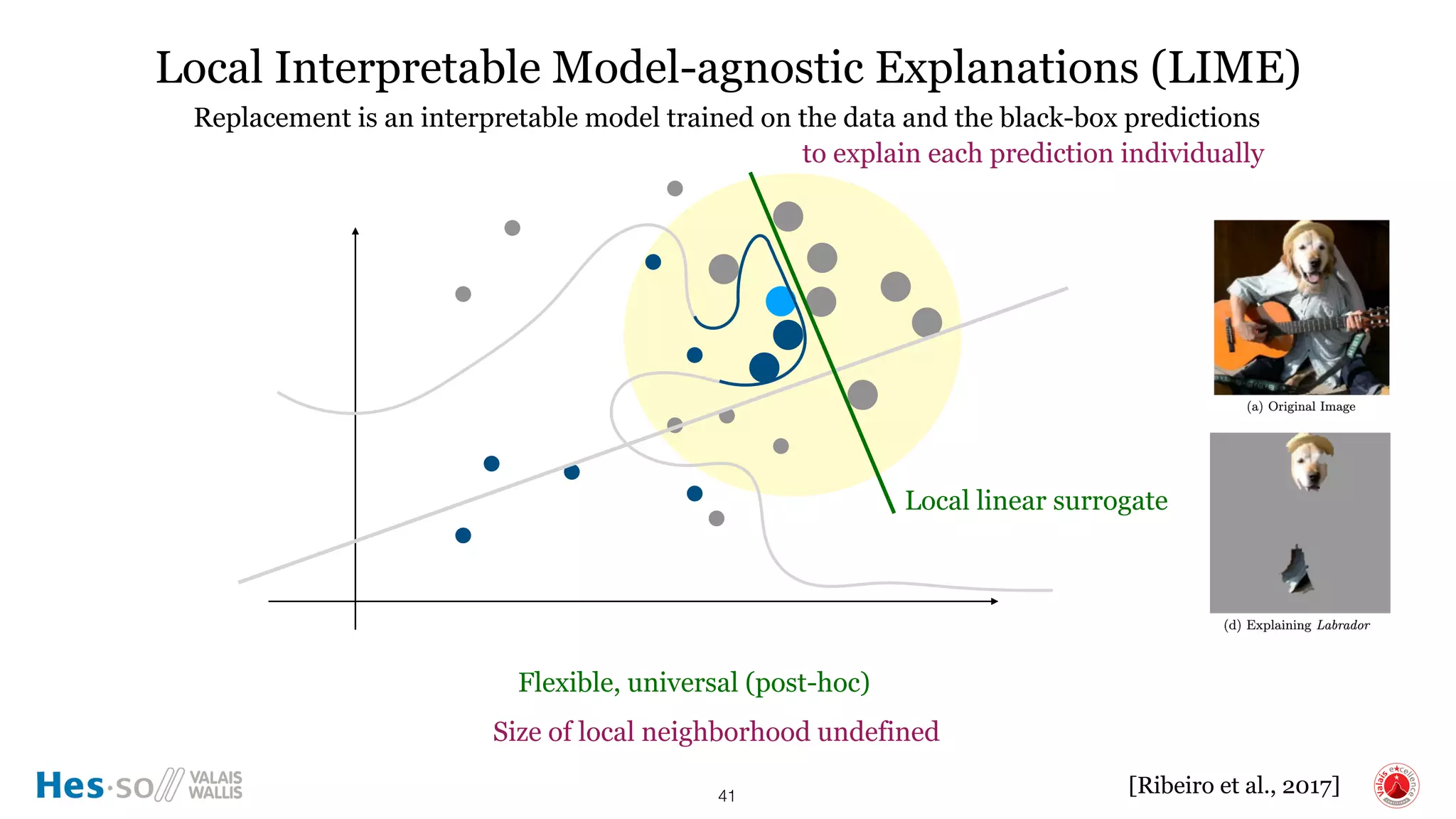 ML Interpretability Inside Out | PPT