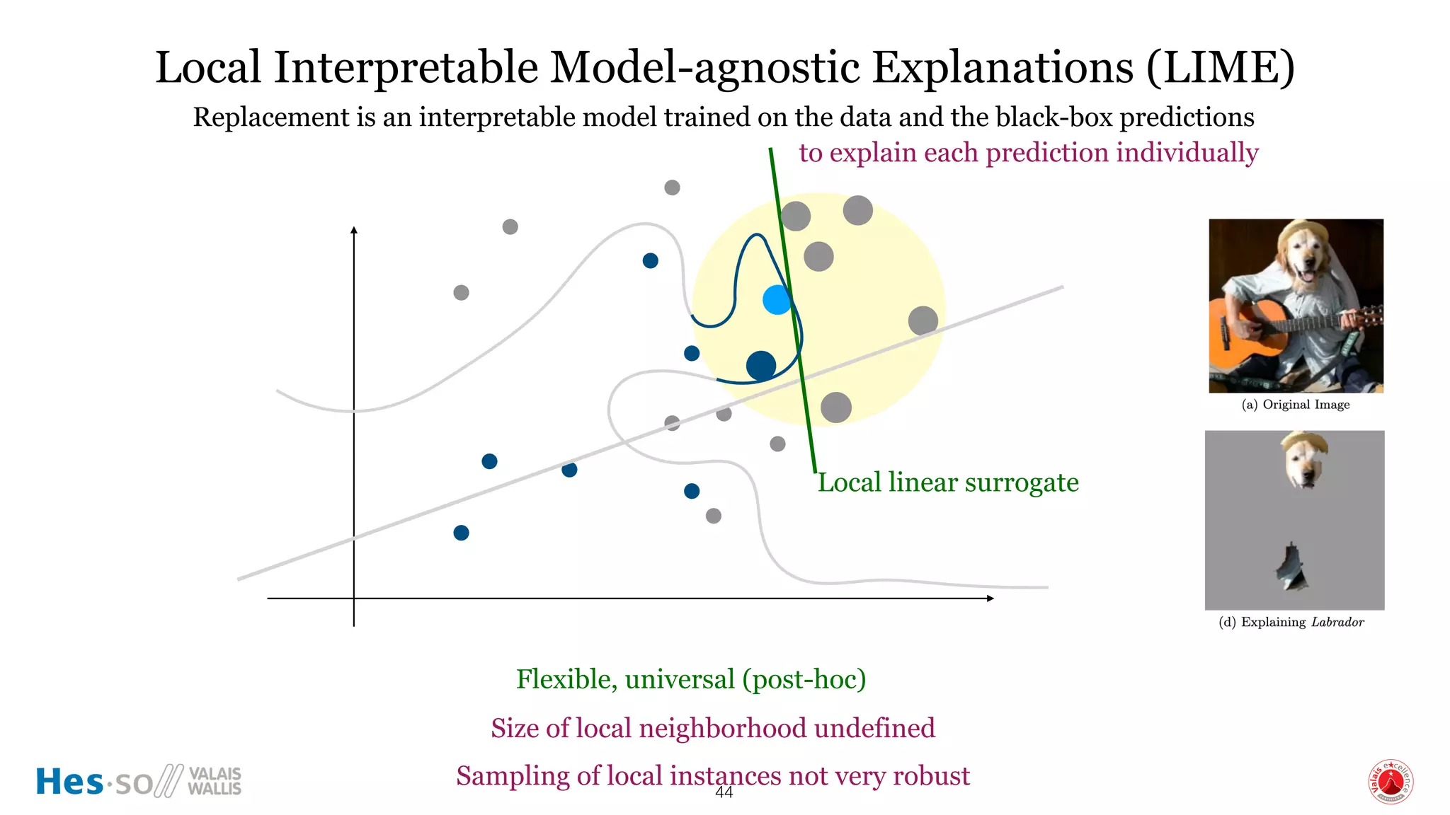 ML Interpretability Inside Out | PPT