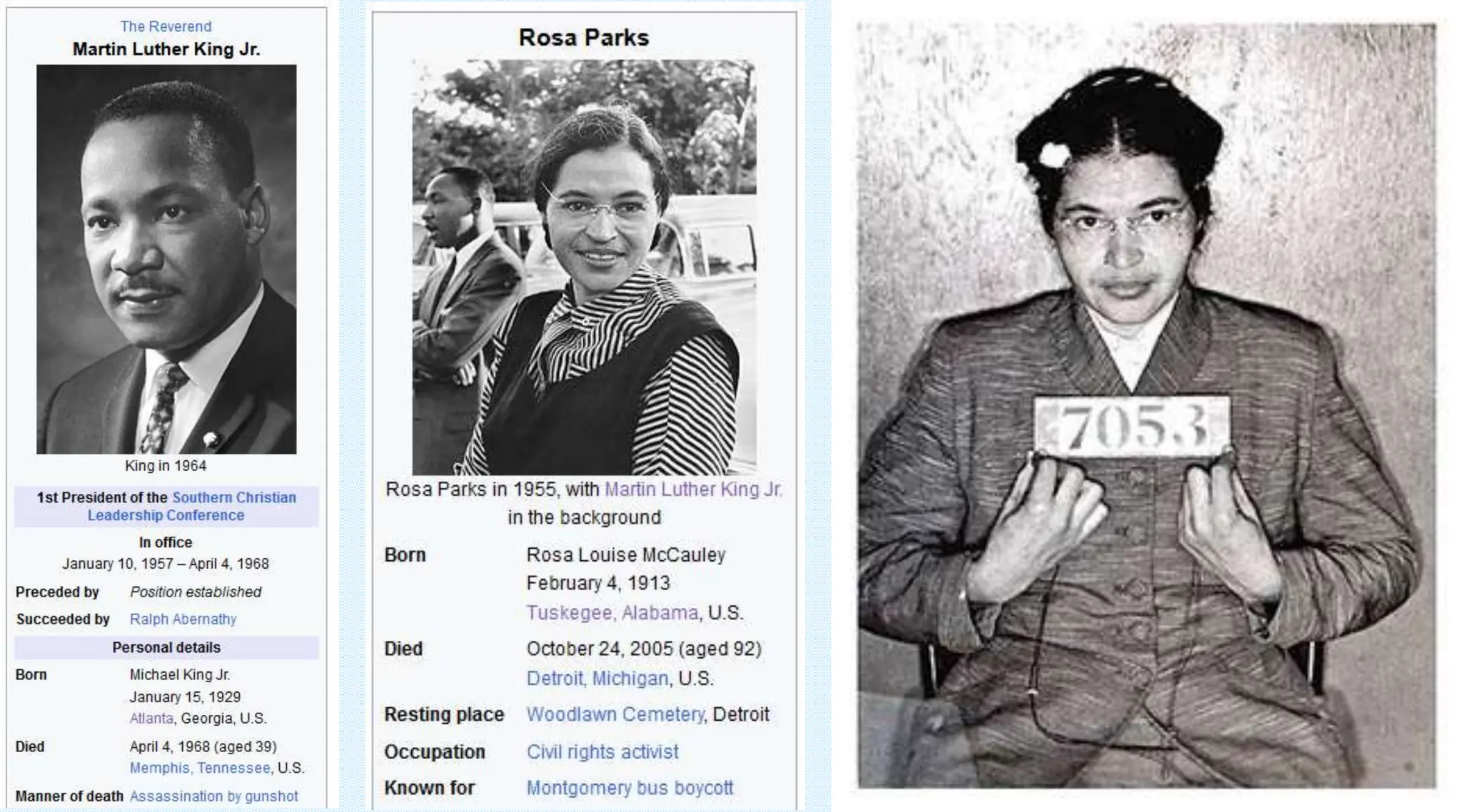 Martin Luther King and Rosa Parks, Montgomery Bus Boycott, Lewis ...