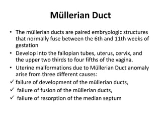 Müllerian Duct Anomalies.pptx