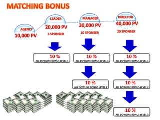 MLM MARKETING PLAN | PPSX