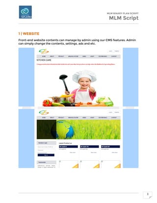 Binary Plan MLM script | PDF