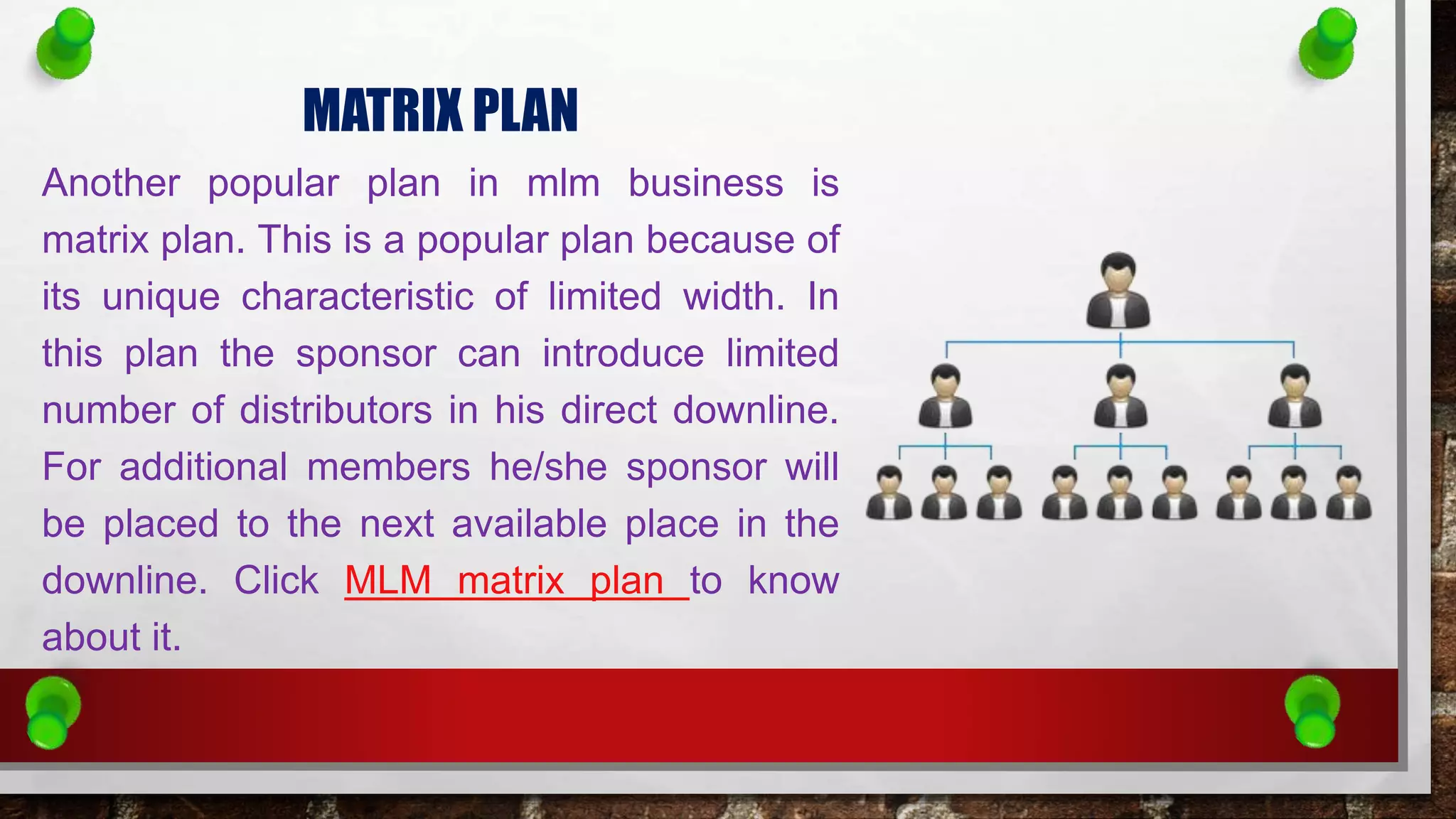 Network Marketing Business Plan | PPTX