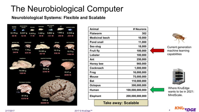 LambdaFabric for Machine Learning Acceleration | PDF