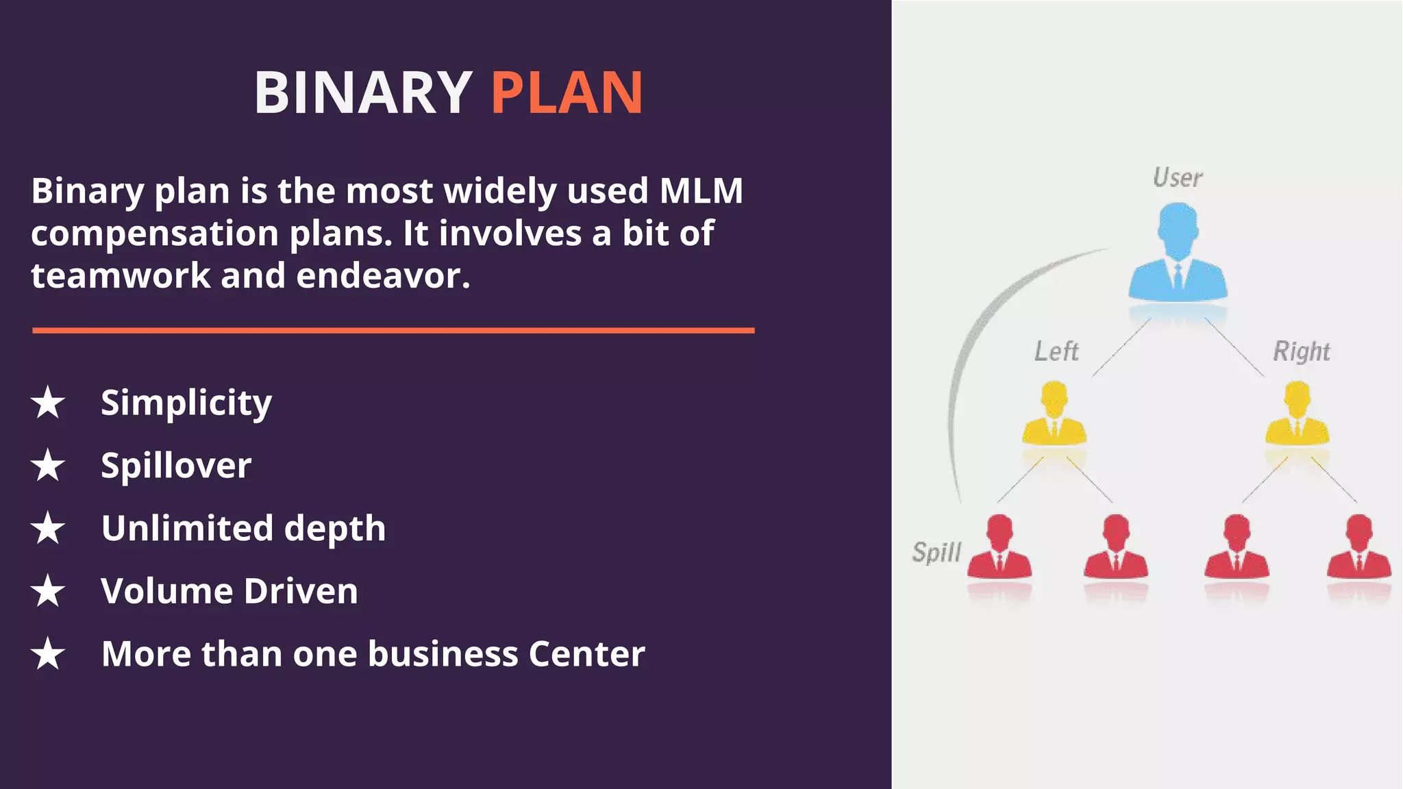 MLM Plan ppt | PDF