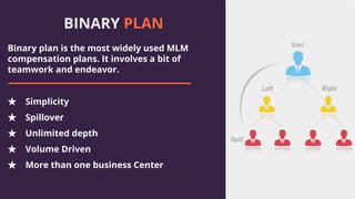 MLM Plan ppt | PDF