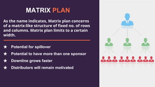 MLM Plan ppt | PDF