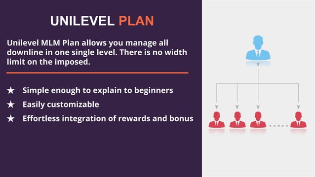 MLM Plan ppt | PDF | Marketing and Advertising | Business