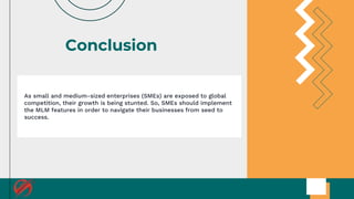 MLM Platform Provides SMEs with Solutions for Growth | PPTX