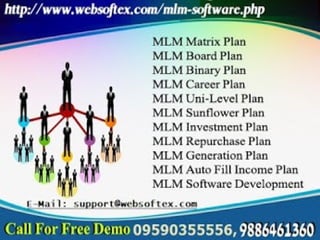 Mlm ppt software | PPT