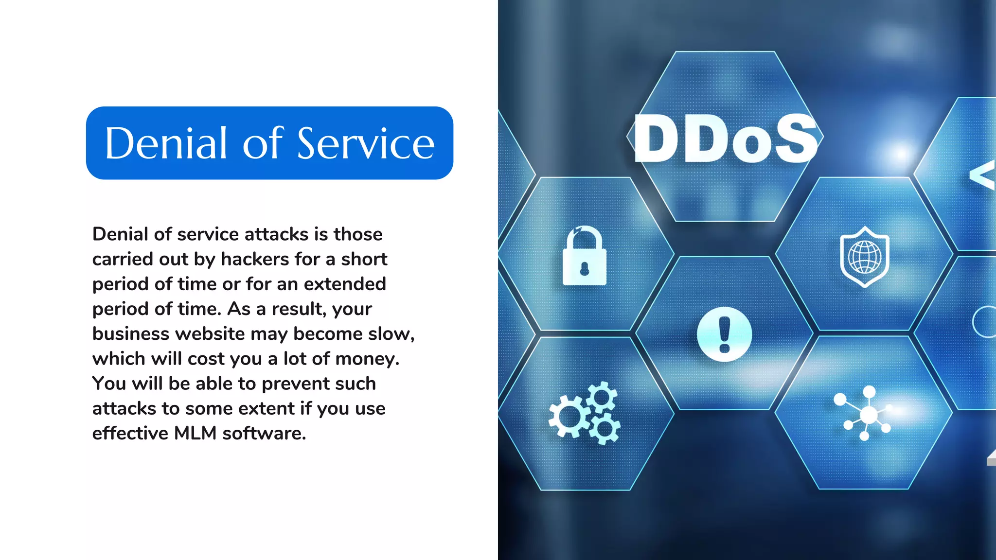 MLM Software Security Features | PPT