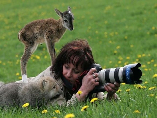 Ml national geog_korn | PPT