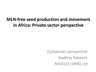 MLN-free seed production and movement in Africa: Private sector ...