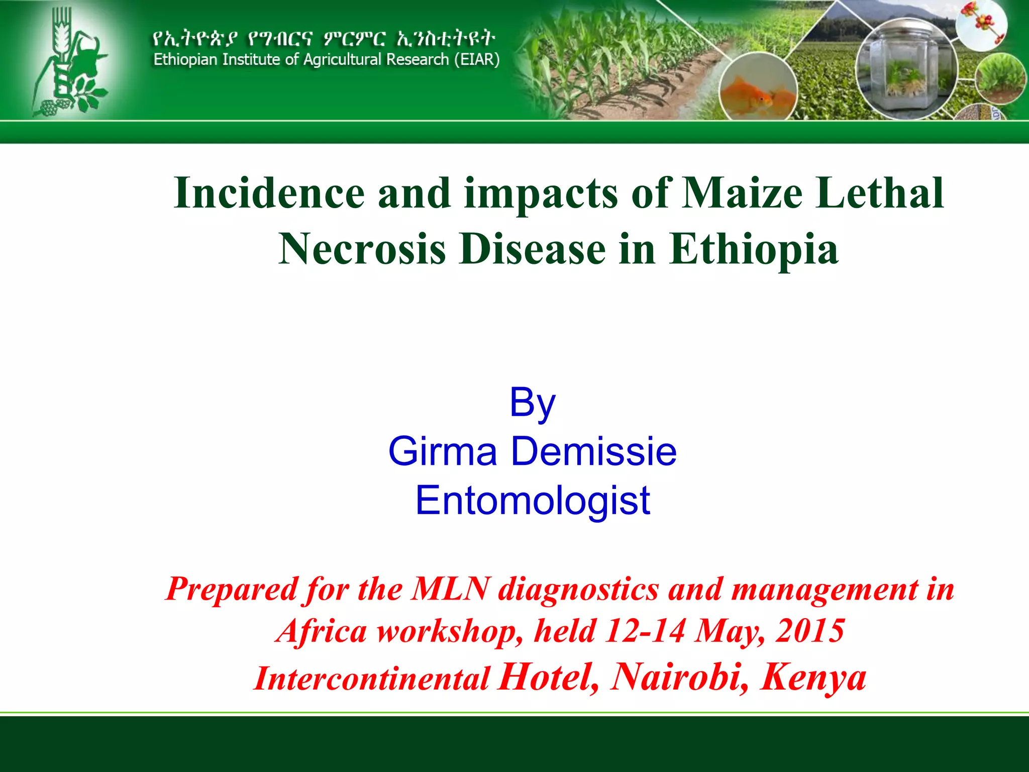 Incidence and Impacts of Maize Lethal Necrosis Disease in Ethiopia | PDF