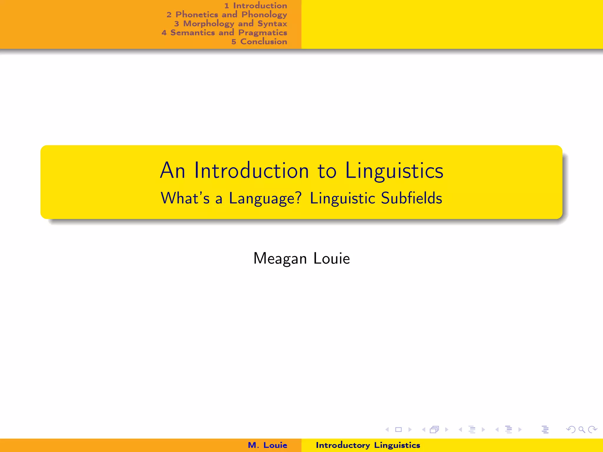 Introduction to Linguistic Subfields | PDF