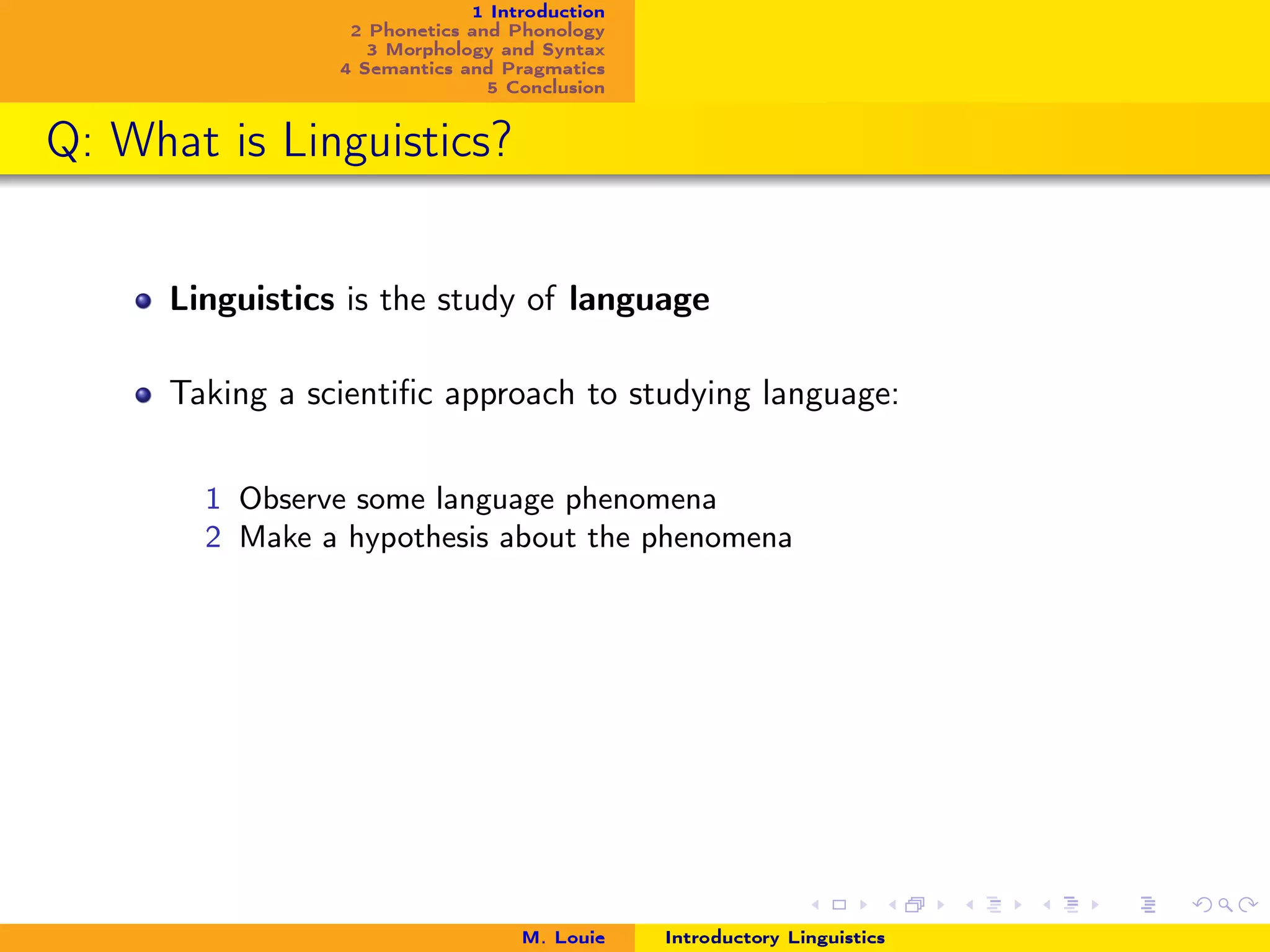 Introduction to Linguistic Subfields | PDF