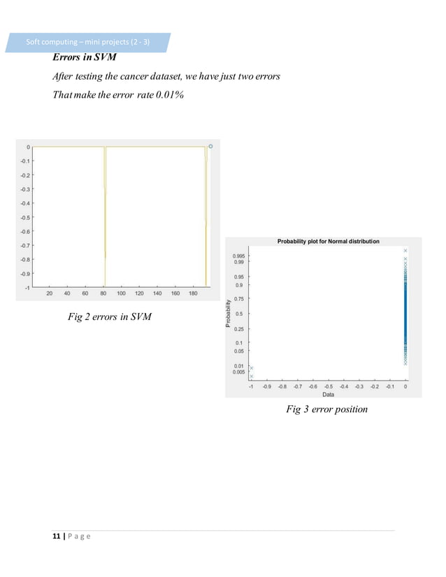 SVM & MLP on Matlab program | DOCX