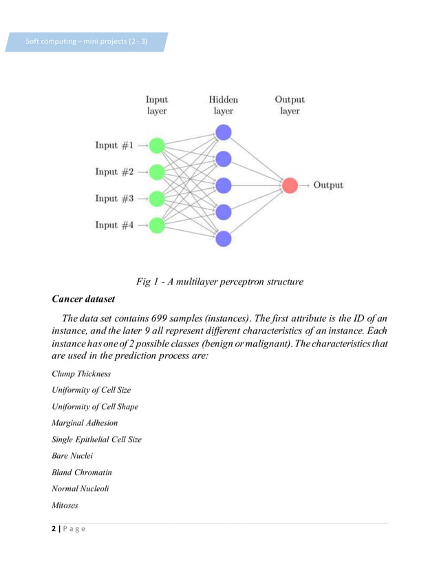 SVM & MLP on Matlab program | DOCX