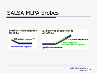 MLPA | PPT