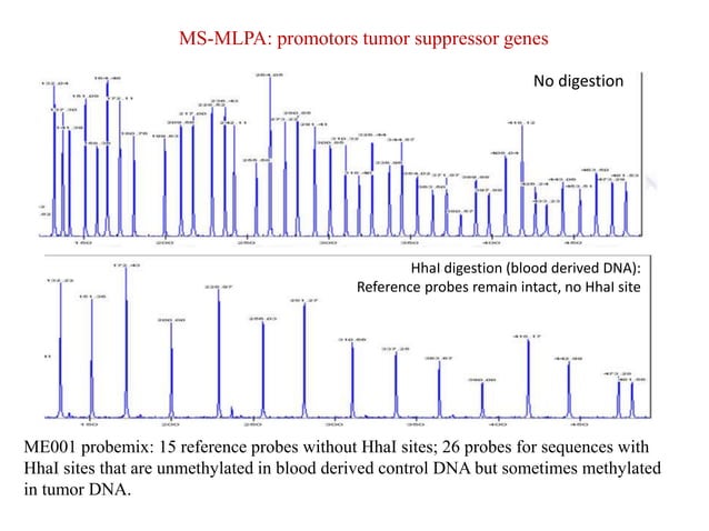 Mlpa (Multipleks PCR) | PPT