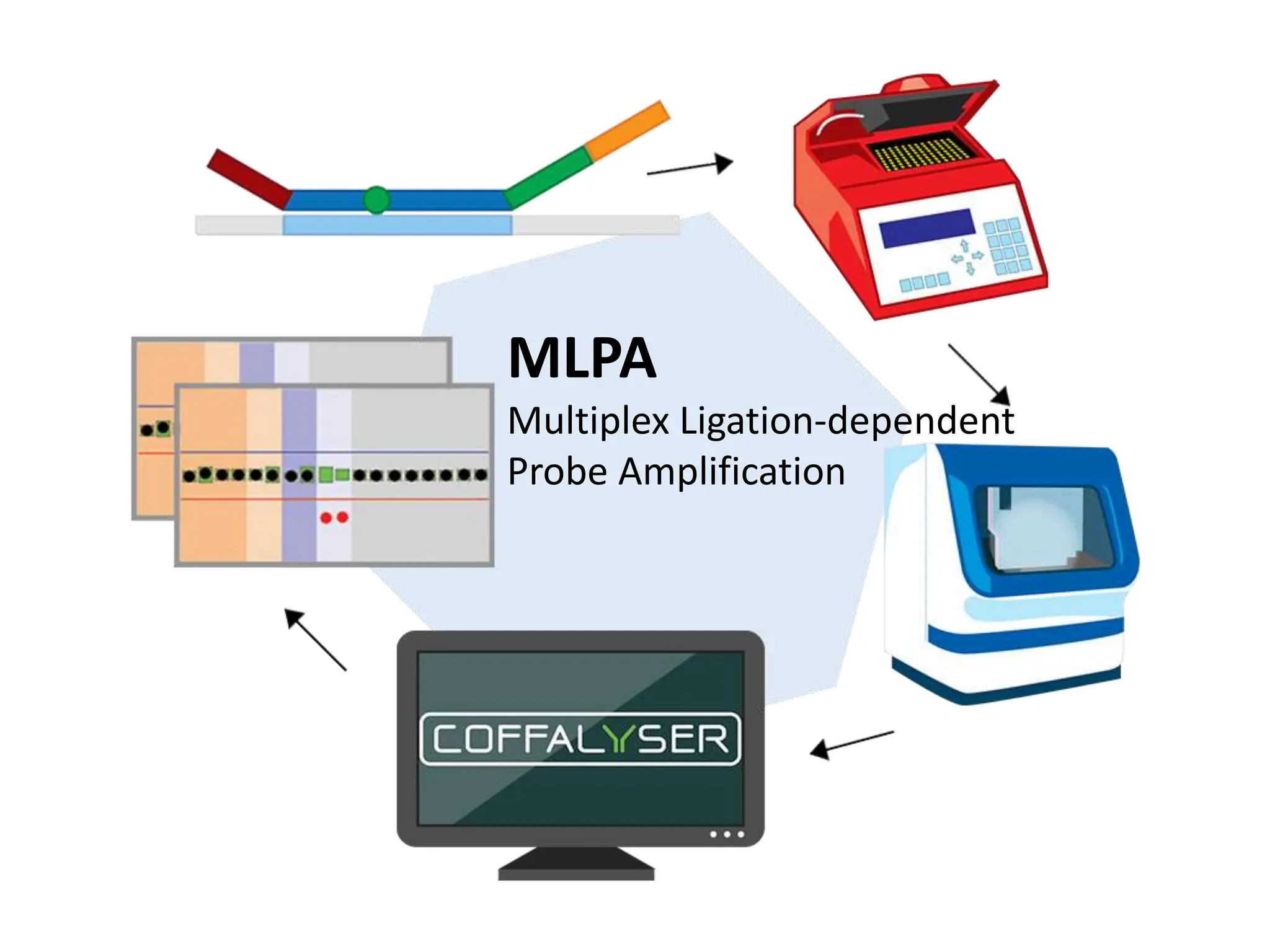 MLPA_Multiple Ligation - dependent probe amplification.pptx