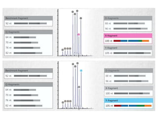 MLPA_Multiple Ligation - dependent probe amplification.pptx | Chemistry ...