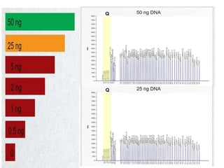 MLPA_Multiple Ligation - dependent probe amplification.pptx | Chemistry ...